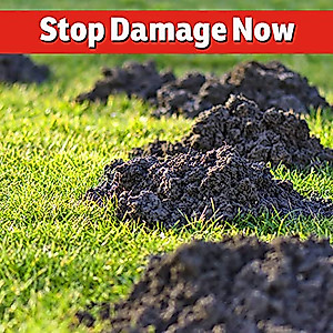 I Must Garden Armadillo Repellent - 32oz Hose End Concentrate