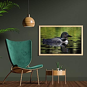 Ambesonne Loon Wall Art with Frame, Waterbird Swimming in a Lake in Spring Outdoor Scene, Printed Fabric Poster for Bathroom Living Room Dorms, 35" x 23", Green Dark Grey