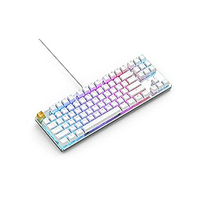 Glorious Custom Gaming Keyboard - GMMK 85% Percent TKL - USB C Wired Mechanical Keyboard - RGB Hot Swappable Switches & Keycaps - Silver/White Metal Top Plate