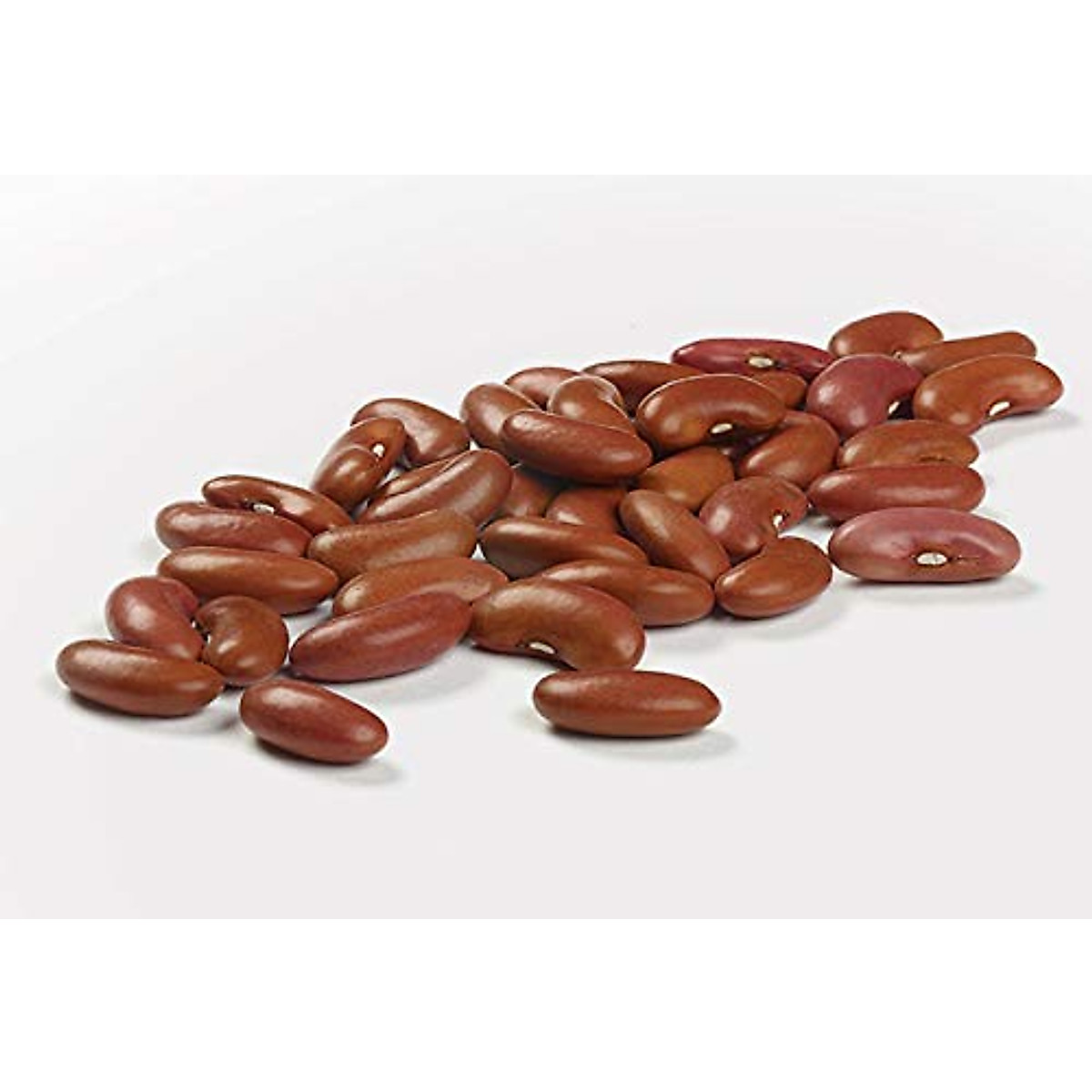 Camellia Brand Dried Red Kidney Beans, 1 Pound (2 Pack)