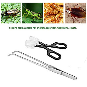 Reptile Feeding Tool Set,Feeding Clip and Long Tweezers for Hamsters,Insects,Turtle,Snake,Spider,Frog,Gecko,Chameleon and Other Small Animals