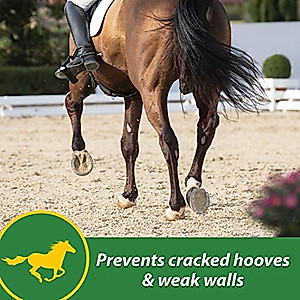 Farnam HB 15 Hoof Supplement, Supports Healthy hoof Growth 7 Pound, 112 Day Supply