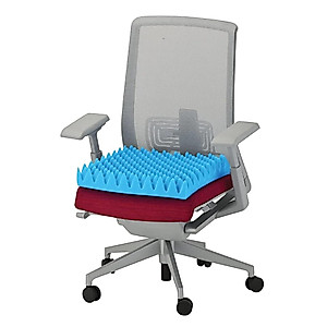 Gilbins Convoluted Egg Crate Foam Chair Cushion, Seat Cushion, Car Seat Cushion, Office Chair Cushion or Wheelchair Cushion to Relieve Back Pain Wheelchair and Recliner Chair Pads (Without Cover)