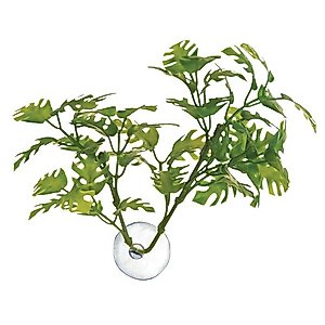 Zoo Med Laboratories AZMBP21 Betta Plant Papaya