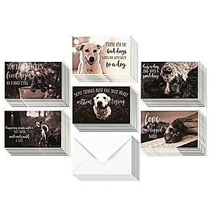 36 Pack Blank Motivational Greeting Cards with Dogs and Inspirational Quotes, Envelopes (4x6 In)