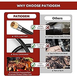 PatioGem Propane Hose Extension 20FT, Both Ends 3/8" Female Flare Propane Hose Assembly, Pipe Fitting 3/8" Flare x 1/8" MNPT, Extension Gas Line for Propane Appliances, LP Gas Hose