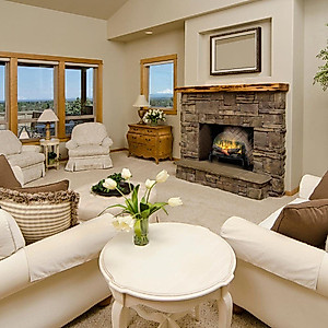 Dimplex Revillusion Electric Fireplace Log Insert - 20 Inch Faux Wooden Logs, Plug in Electric Heater; Remote Control Included - Supplemental Zone Heat | Model #RLG20