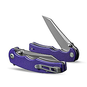 CIVIVI P87 Folder EDC Knife, Kaila Cumings 2.9-in Nitro-V Silver Bead Blasted Blade Reverse Tanto, G10 Handle with A Thumb Stud Liner Lock Folding Pocket Knife for Everyday Carry (Purple)