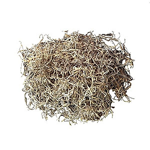 Mosser Spanish Decorative Moss, 250-Cubic Inch