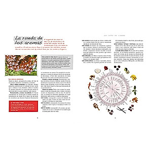 La cata de vinos: Guía completa para conocer y degustar los vinos (Edición actua lizada) 2021 / Wine Tasting (Spanish Edition)