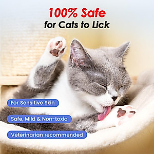 Waterless Cat Shampoo with Cat Brush - No Rinse Foam Dry Shampoo | Deep Cleansing Relieves Itchy Skin & Shedding | Gentle, pH-Balanced for Kittens Sensitive Skin | Specifically for Cat Bath | 7 oz