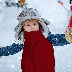 2 Pcs Heated Scarf for Women Men USB Heating Scarf Soft Warm Electric Heated Neck Warmer for Winter (Power Bank not Included) (Burgundy, Black)