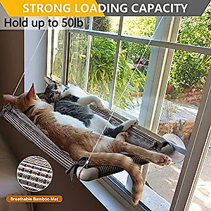 Cat Window Perch, Large Cat Hammock Bed w/Free Blanket Strong Suction Cups, Window Cat Bed Safety Sturdy for Indoor Two Large Cats or Kittens Resting Seat