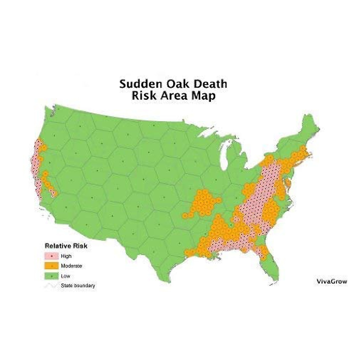 Quest Reliant Systemic Fungicide (Agri-Fos/Garden Phos) 1 Gallon