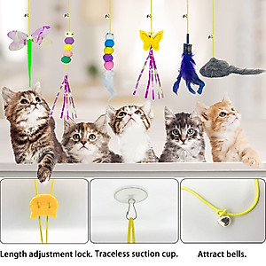 Mitubati Cat Toys Indoor Hanging Door Retractable Bird Cat Toy for Kitten Fun Exercise Interactive String Feather Cat Toys for Hunting Chase (6 Pack)