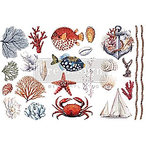Redesign With Prima TRANSFERS 6X12 3/PKG, Amazing Sea Life
