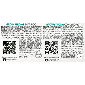 Garnier Hair Care Fructis Shampoo & Conditioner Kit, Grow Strong