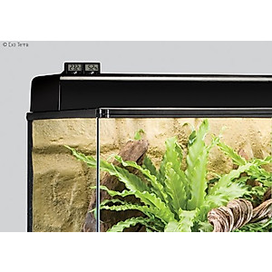 Exo Terra LED Rept-O-Meter Digital Combination Thermometer/Hygrometer