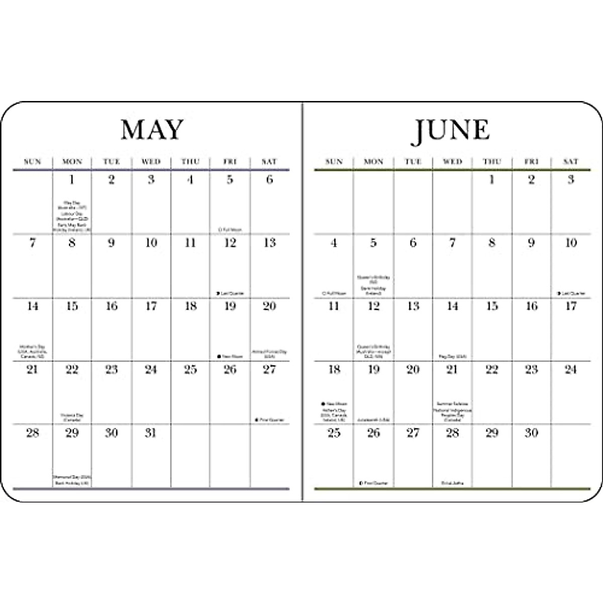 Floriography 12-Month 2023 Monthly/Weekly Planner Calendar: Secret Meaning of Flowers