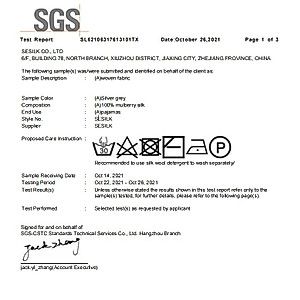 SESILK 100% Mulberry Silk Pajamas Mulberry Silk Sleepwear Short Sleeve Nightgown Silk Nightwear Set with Silk Shorts Silk Home Real Silk Smooth Box Packaging HazeBlue L