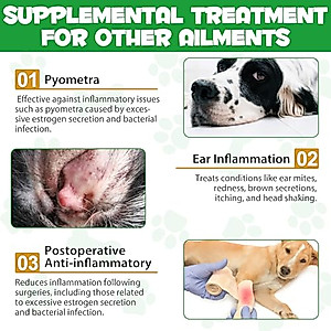 Natural Antibiotics for Dogs - Dog Antibiotics - Antibiotics for Dogs - Pet Antibiotics - Natural Antibiotics for Dogs - Organic Ingredients - Dog Multivitamin 60ml