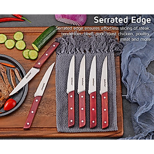 WELLSTAR Serrated Steak Knife Set of 6, Ultra Sharp Japanese Stainless Steel 4.5 inch Blade and Full Tang Pakkawood Handle Dinner Table Knives Pack for Home Kitchen Restaurant – Triple Riveted