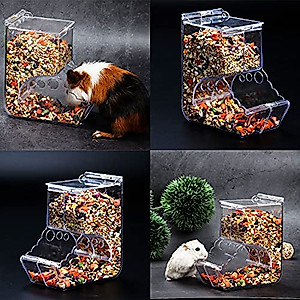 Hamsters Feeder Small Animals Automatic Dispenser Gravity Auto Dispensers Pet Pellets Food Storage Bowl - Dwarf Hamster Gerbils Mice Hedgehog Guinea Pig and Other Small Animal Ideal Feeding Station