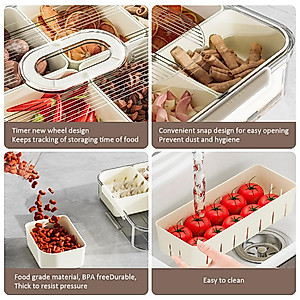 TUZZAN Plastic Bento Snack Box Container with Compartment, Stackable Fridge Container with Lids and Divided Serving Tray, Storage for Food, Vegetables, Transparent, TFSC003