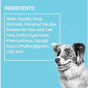 Pet Health Pros Dog Eye Wipes Tear Stain Remover for Dogs & Cats - Cat and Dog Tear Stain Remover Wipes - Cat Eye Wipes to Clean Tear Stains, Crust and Dirt - Fragrance Free Eye Wipes for Dogs - 60 ct