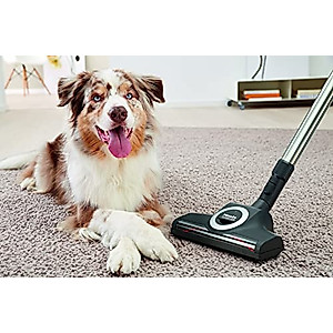 Miele Compact C1 Turbo Team Bagged Canister Vacuum, Obsidian Black