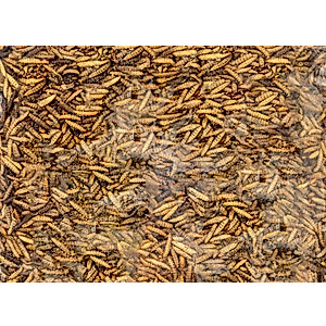 Natural Feeds Dried Black Soldier Fly Larva for Chickens 5Ib Bags - 85X More Calcium Than Meal Worms - Non-GMO Poultry Feed & Molting Supplement - for Hens Ducks Wild Birds