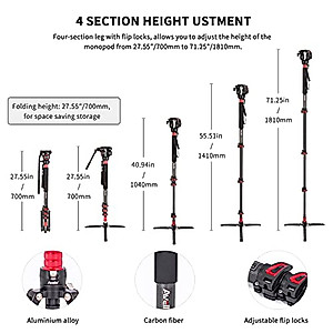 Avella CD324 Carbon Fiber Video Monopod Kit, with Fluid Head and Removable feet, 71 Inch Max Load 13.2 LB for Canon Nikon Sony Olympus Panasonic DSLR Camera