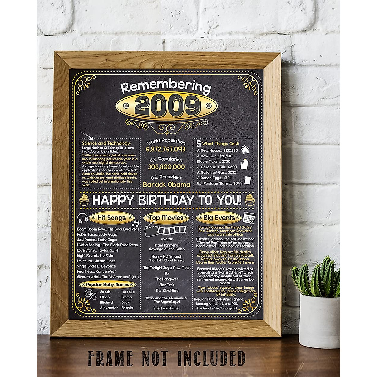 15th Birthday Party Decorations for 15th Birthday (Fifteen) - Remembering The Year 2009 - Party Supplies - Gifts for Men and Women Turning 15 - Back In 2009 Birthday Card 11x14 Unframed Print