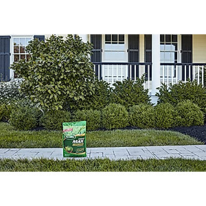 Scotts Green Max Lawn Food - Lawn Fertilizer Plus Iron Supplement Builds Thick, Green Lawns - Deep Greening in 3 Days - Covers 10,000 sq. ft.