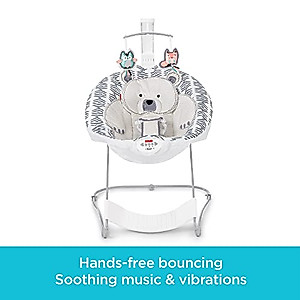 Fisher-Price See & Soothe Deluxe Bouncer