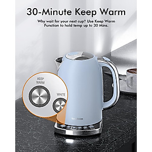 Electric Tea Kettle with Temperature Control, Longdeem 1.7L Stainless Steel Water Boiler & Heater, 1500 Watts for Fast Boiling, Cordless Serving with LED Light, Pastel Blue