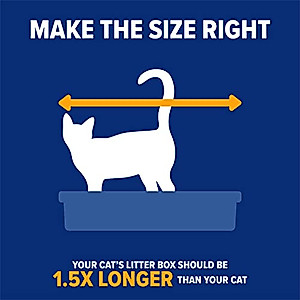 Arm & Hammer Cat Litter Box with High Sides