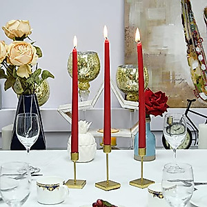 Zest Candle 12-Piece Taper Candles, 12-Inch, Red