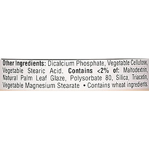 Puritans Pride Super Strength Multi Enzyme, 120 Count