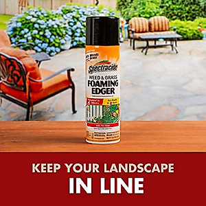 Spectracide Weed And Grass Foaming Edger 17 Ounces, Aerosol, For Edging Along Yards - pack of 12