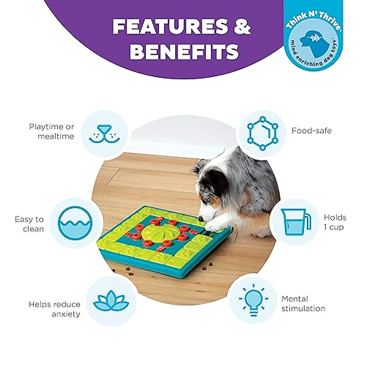 Outward Hound Nina Ottosson Multipuzzle Dog Puzzle Interactive Treat Puzzle Dog Enrichment Dog Toy, Level 4 Expert Dog Puzzle, Blue