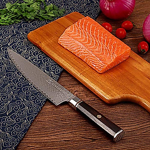 FAMCÜTE 8" Chef's Knife, Made of 67 Layers Damascus w/Octago Indonesian Ebony Handle Professional Japanese Gyuto Knife have Razor Sharp and Superb Edge Retention
