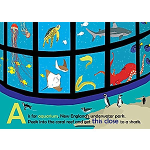 B is for Boston (Alphabet Cities)