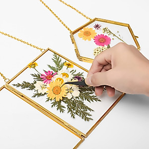 Double Glass Frame for Pressed Flowers - w/Real Dried Flowers and Tweezer for Handicrafts, Photo, or Other Small Flat Items