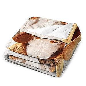 Artsadd Personalized Dog Memorial Blanket with Dog Pictures & Name Custom Pet Memorial Blanket Dog Remembrance Customized Bed Throw Blanket Sympathy Remembrance Made in USA