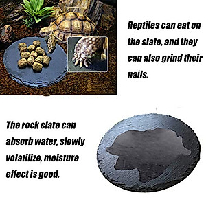 Tfwadmx Reptile Basking Platform,Tortoise Rock Slate Plate Feeding Platform Food Bowl Dish Turtle Bathing Rock Resting Terrace for Lizard Bearded Dragon Chameleon Gecko Snake Frog Newt