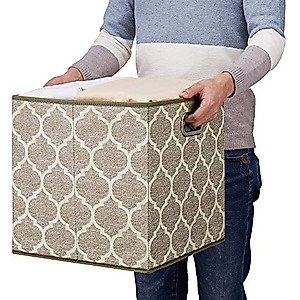 HSDT Storage Cubes Bins Fabric 13x13 Inch Brown Storage Boxes Foldable Storage Baskets Printed Cloth Collasible Storage Inserts Cube for Organizing,QY-SC01-6