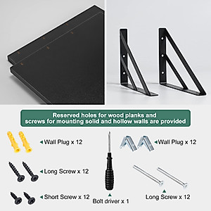 Tectocker-DOU 2 Pc Deep Floating Shelves ; 12 Inch Deep Wall Mounted Hanging Shelves for Living Room, Kitchen, Office, Bathroom and Bedroom Decor; Storage and Display Shelf Set (Black)