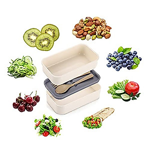 DFTOA Bento Lunch Box for Adults & Kids,Leakproof Bento Box Containers,2-In-1Compartment with Spoon and fork,BPA-Free,40 OZ Capacity