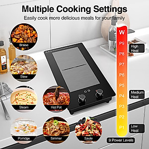VBGK Double Induction Cooktop, Induction Hot Plate 12 inch 3000W, Induction stove top with Rotary &Touch Control,110V 2 Burner Induction Cooktop with 9 Levels Settings, Child Safety Lock & Timer